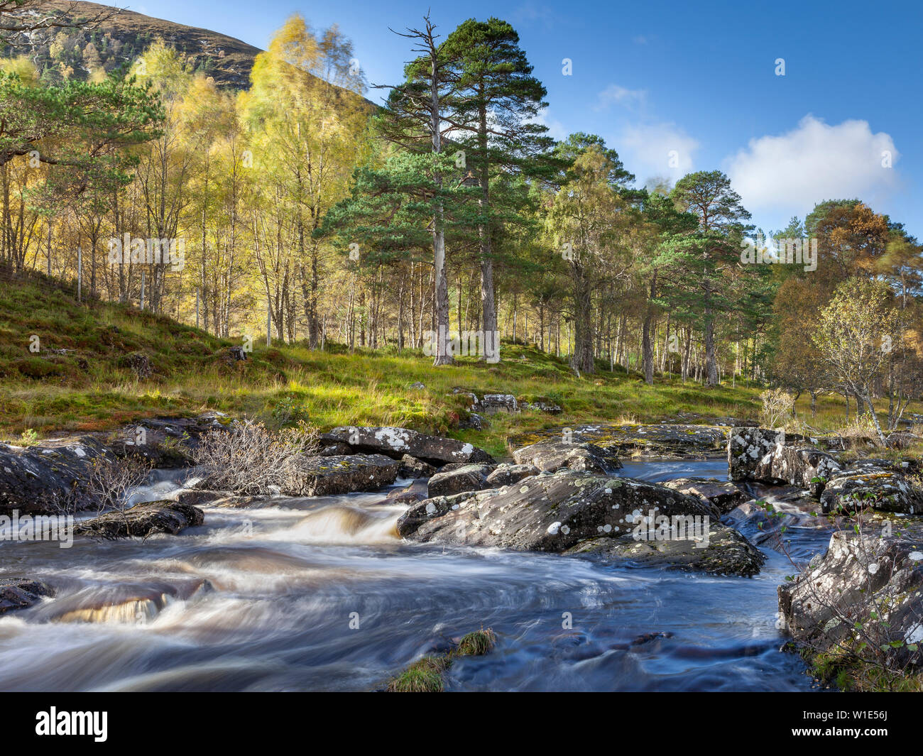 A windy morning in Autumn by the River Cannich in Glen Cannich ...