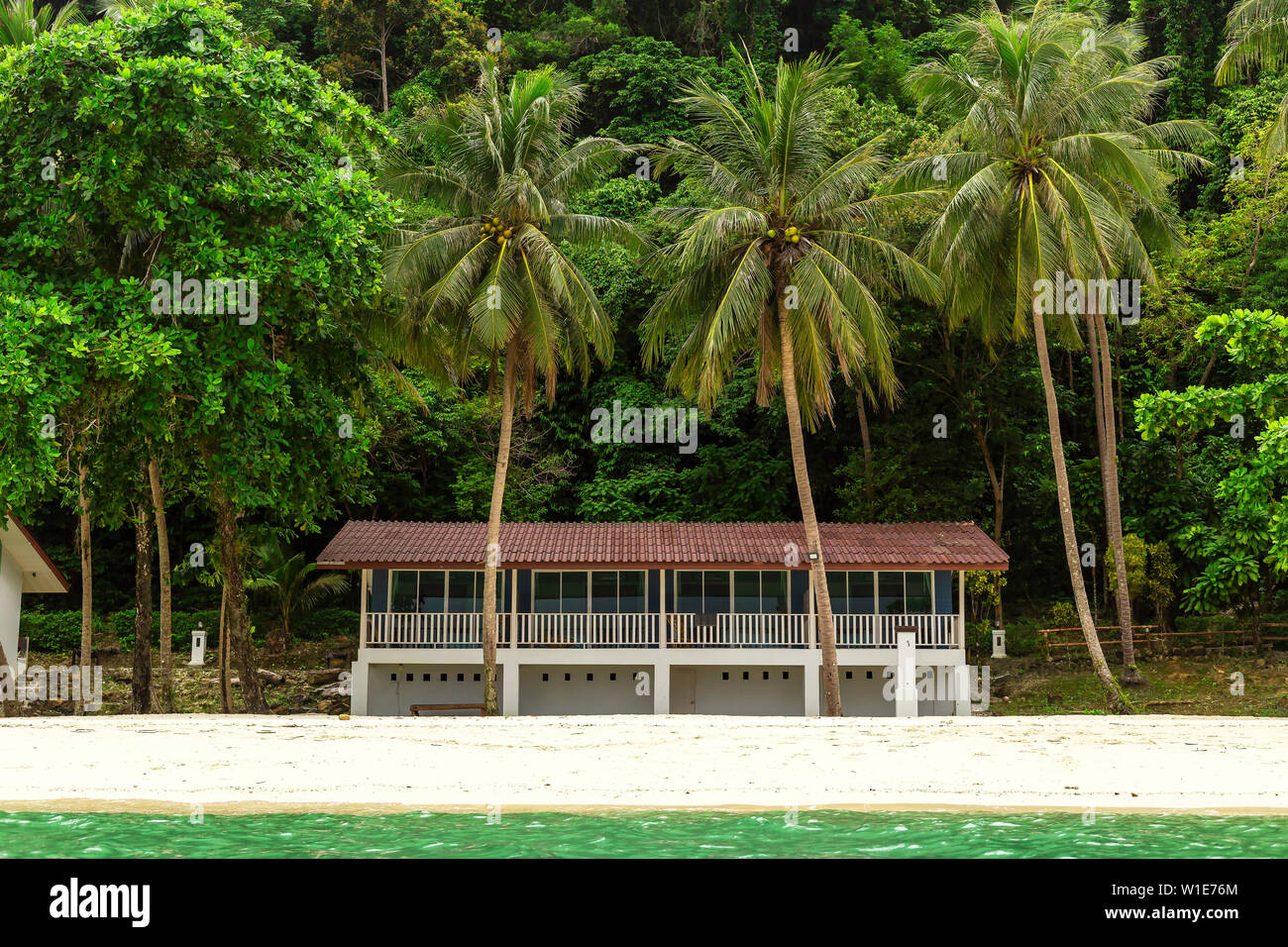 Small tropical island palm forest hi-res stock photography and images ...