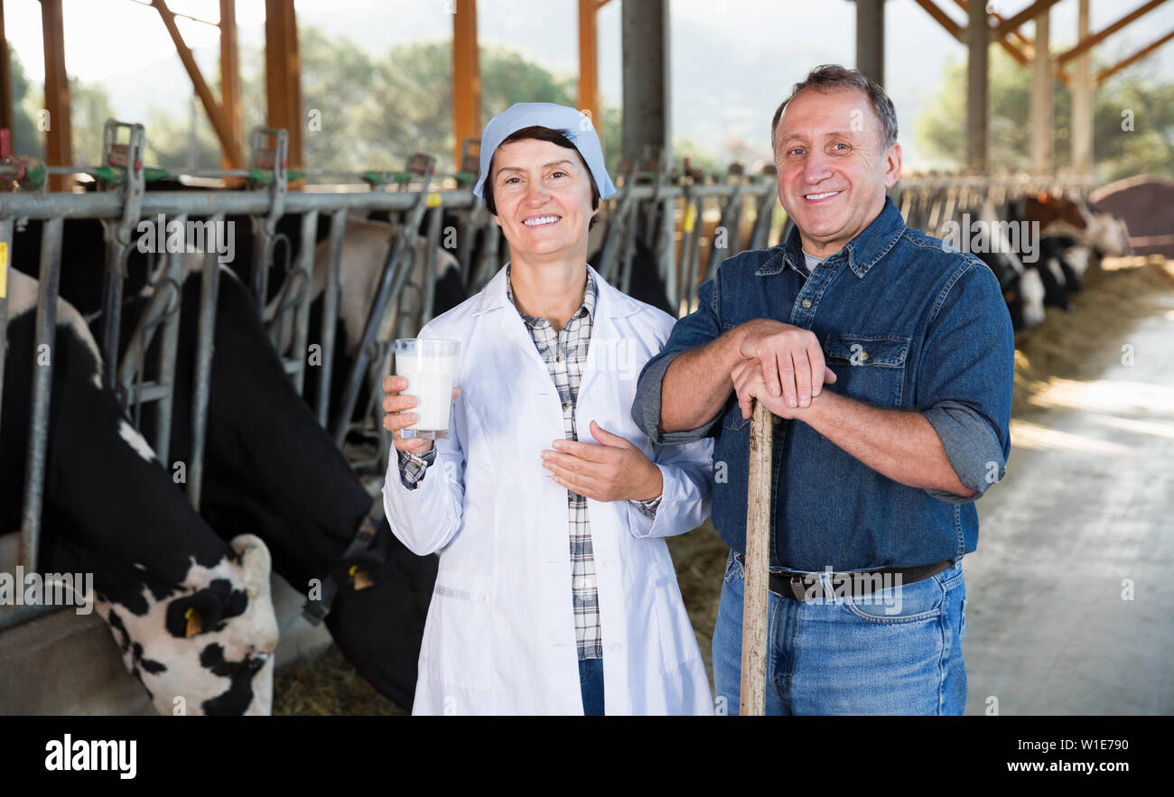 Portrait of smiling mature man and female owners of dairy farm at ...