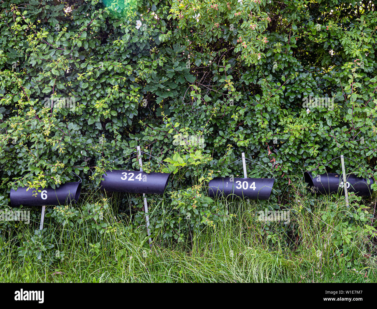 Row of rural mailboxes mail boxes hi-res stock photography and images ...