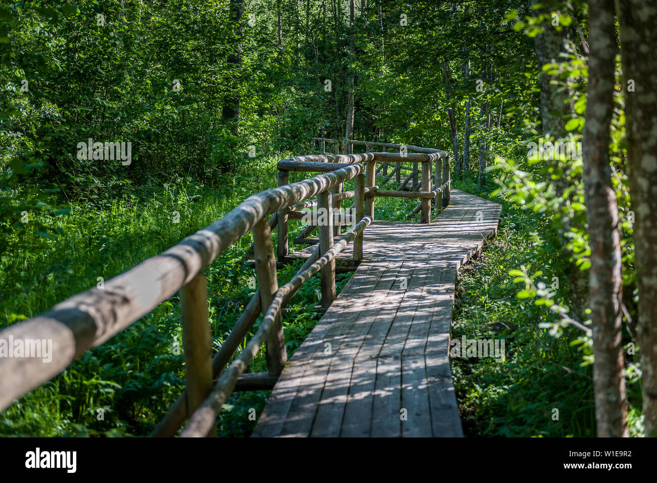 Pokaini hi-res stock photography and images - Alamy