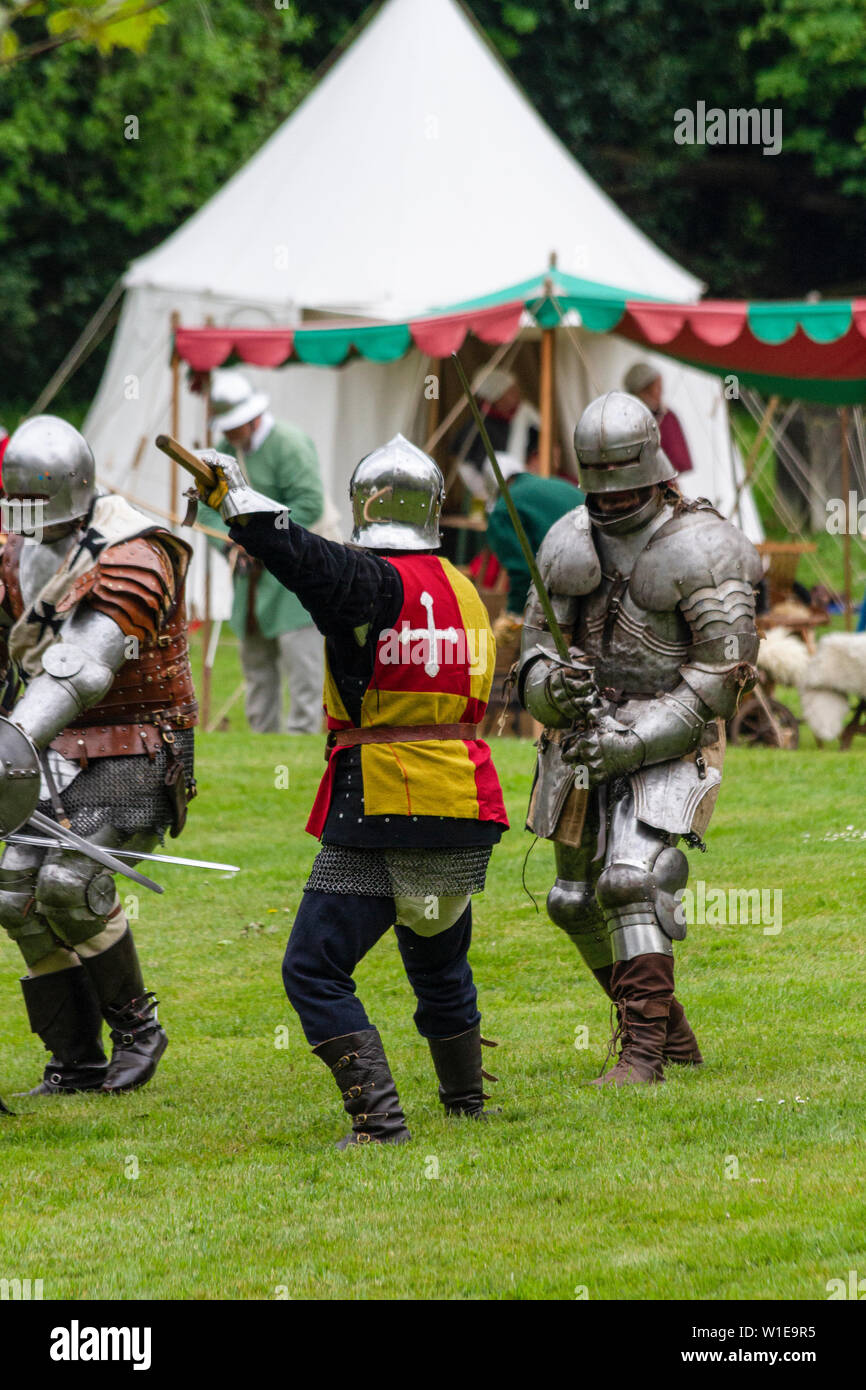 Men in medieval costume armour Stock Photo - Alamy