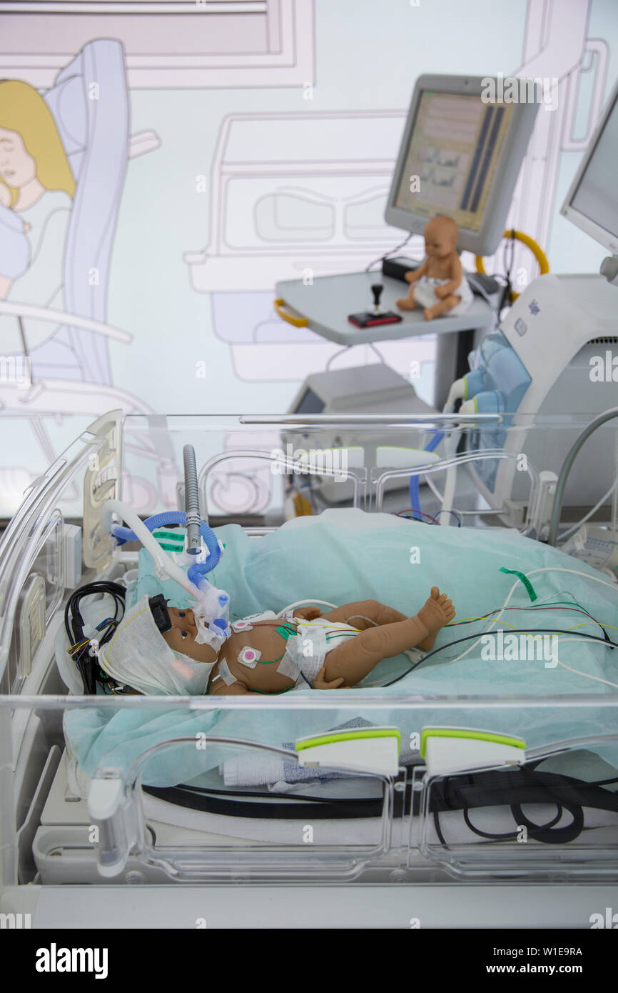 Royal Society Summer Science Exhibition, Lighting the Brain after Birth ...