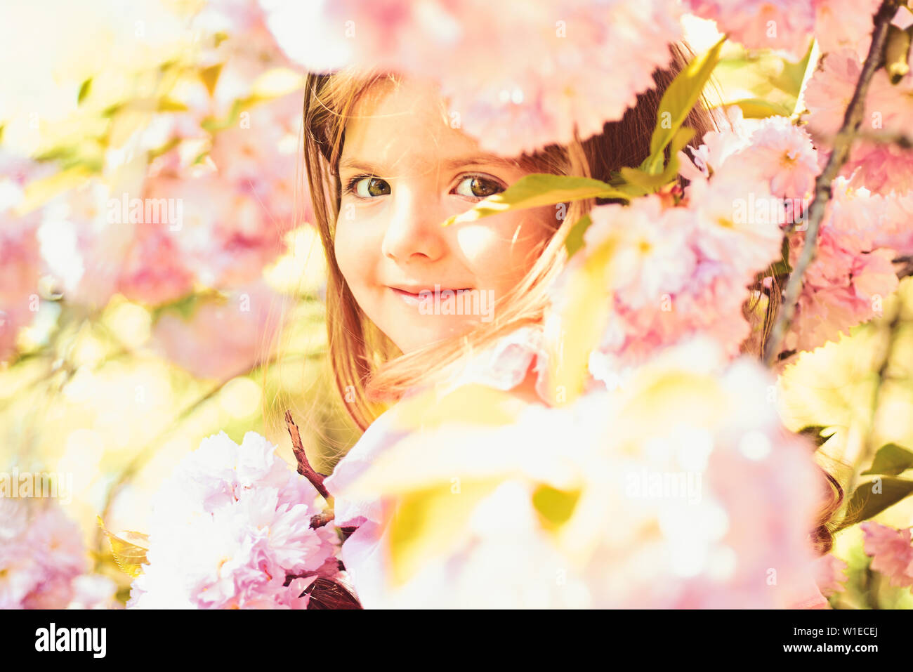 Small child. Natural beauty. Childrens day. Springtime. weather ...