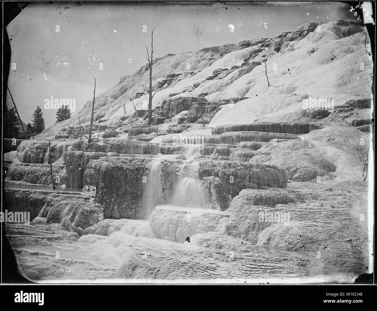 Groups of small, flowing springs and sulphur vents, back of the great ...