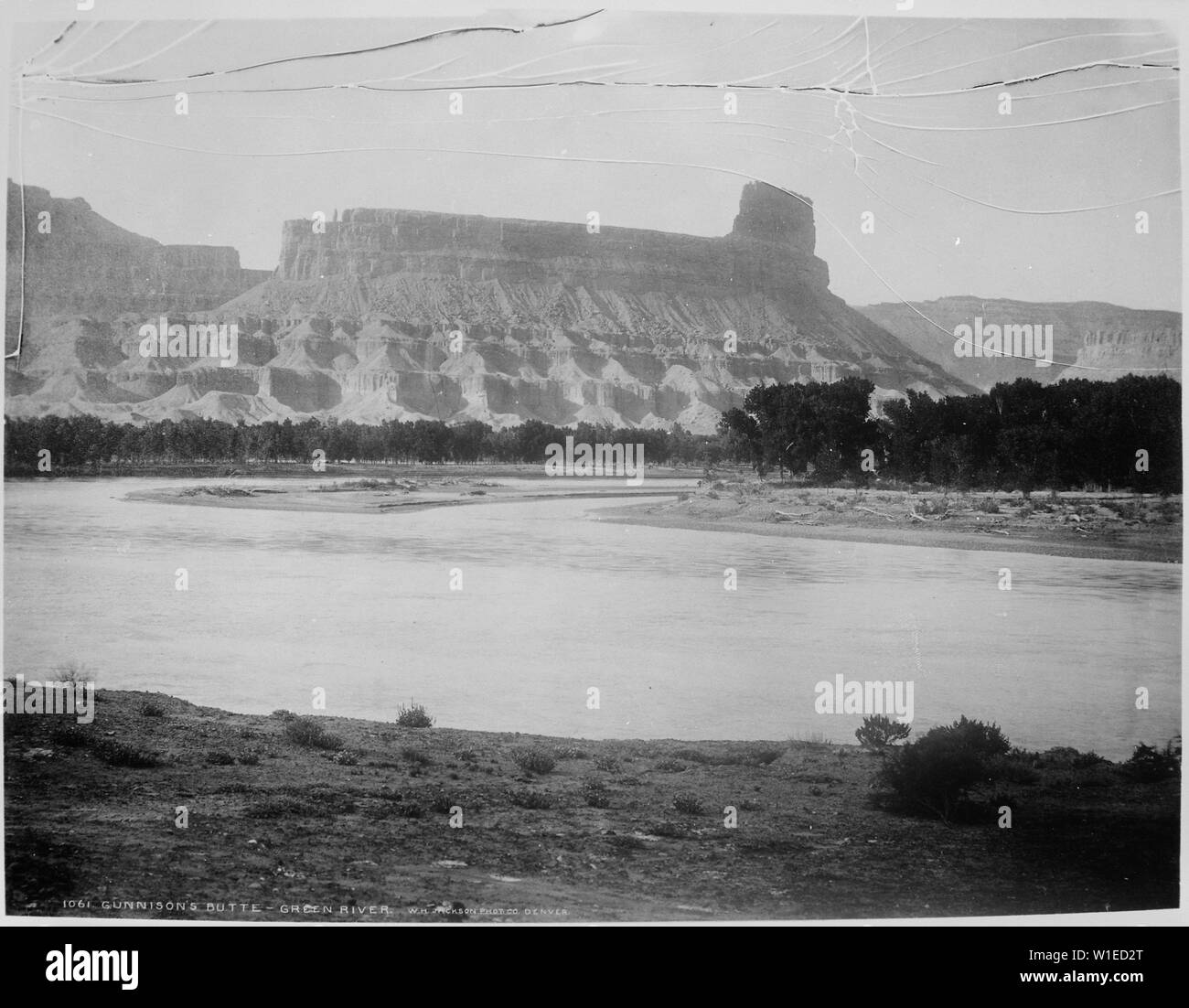 Gunnisons hi-res stock photography and images - Alamy