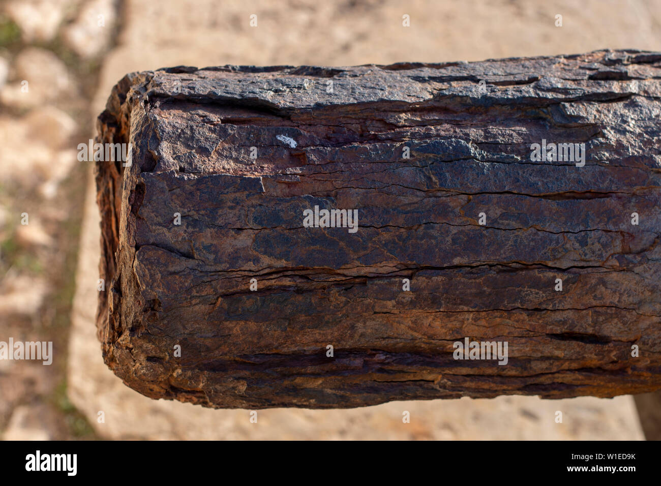Old Rusty Cannon in the Portuguese Fortress of Sagres Stock Photo - Alamy