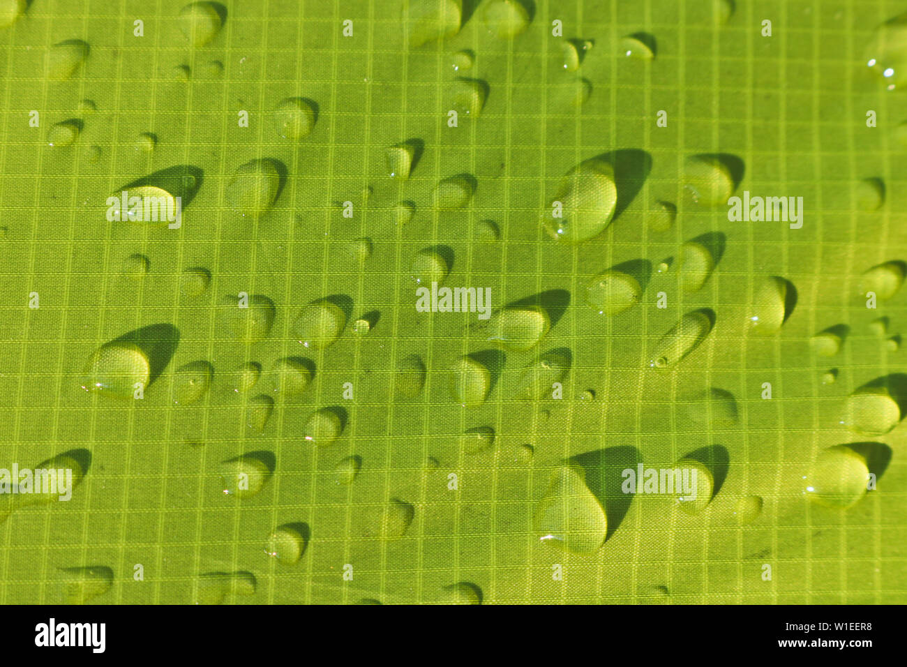 Large drops of water on green textiles with a waterproof effect. Water ...