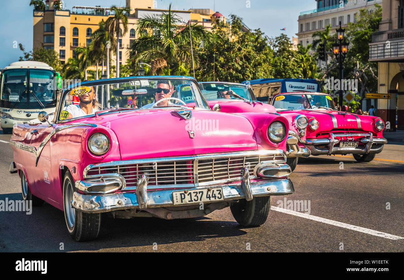 Colourful old American taxi cars driving in Havana, La Habana, Cuba ...