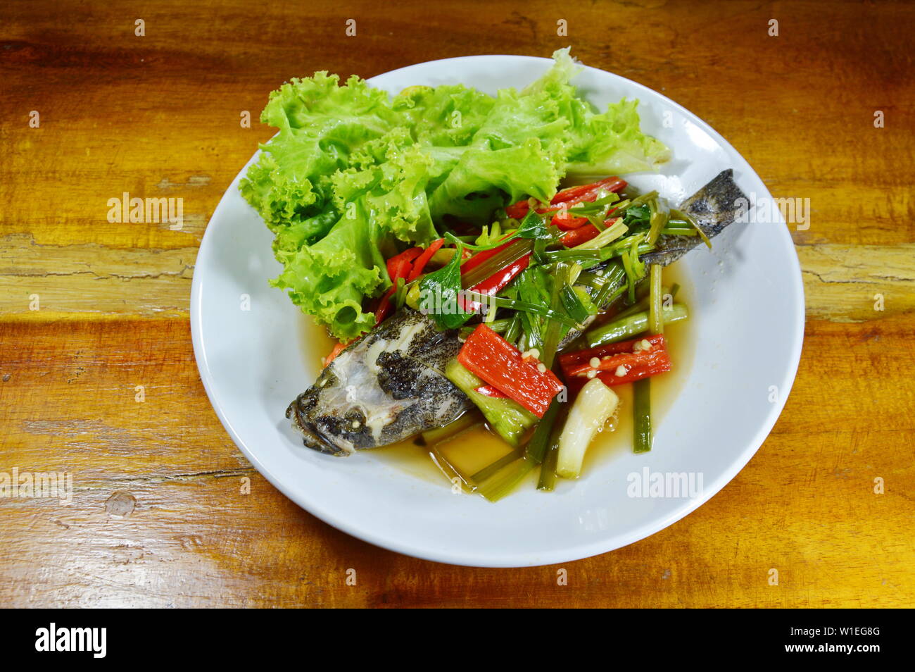 Goby fish eating hi-res stock photography and images - Alamy