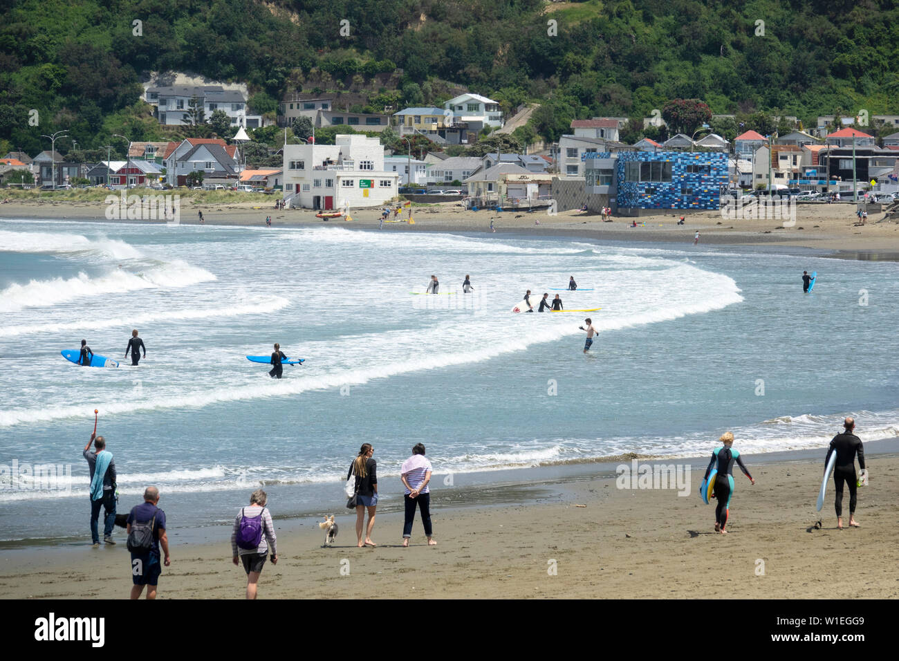 Surfers and walkers, Lyall Bay, Wellington, North Island, New Zealand ...