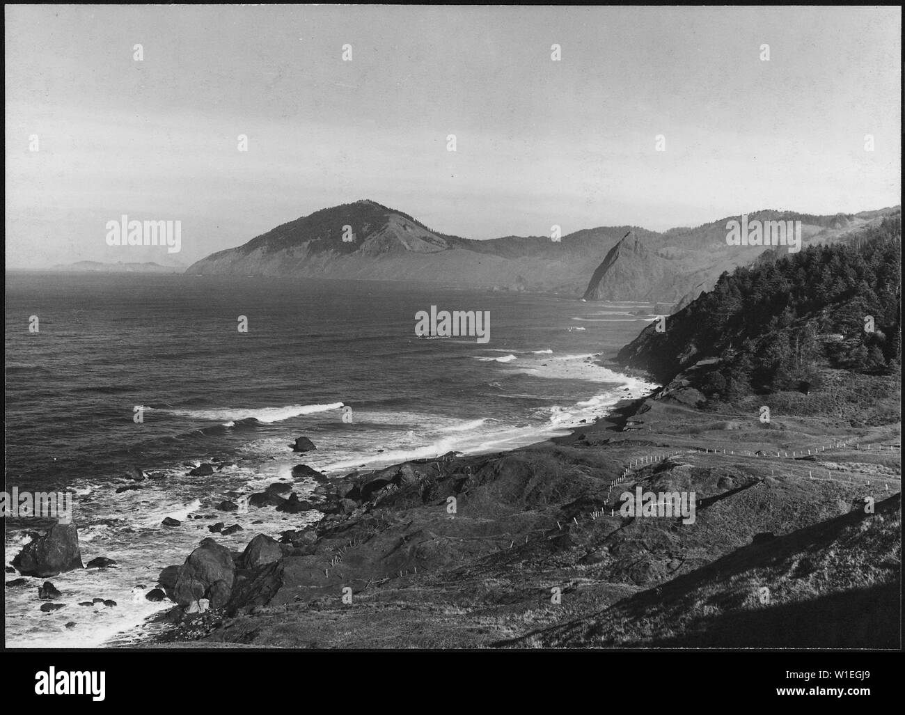 Humbug Black and White Stock Photos & Images - Alamy