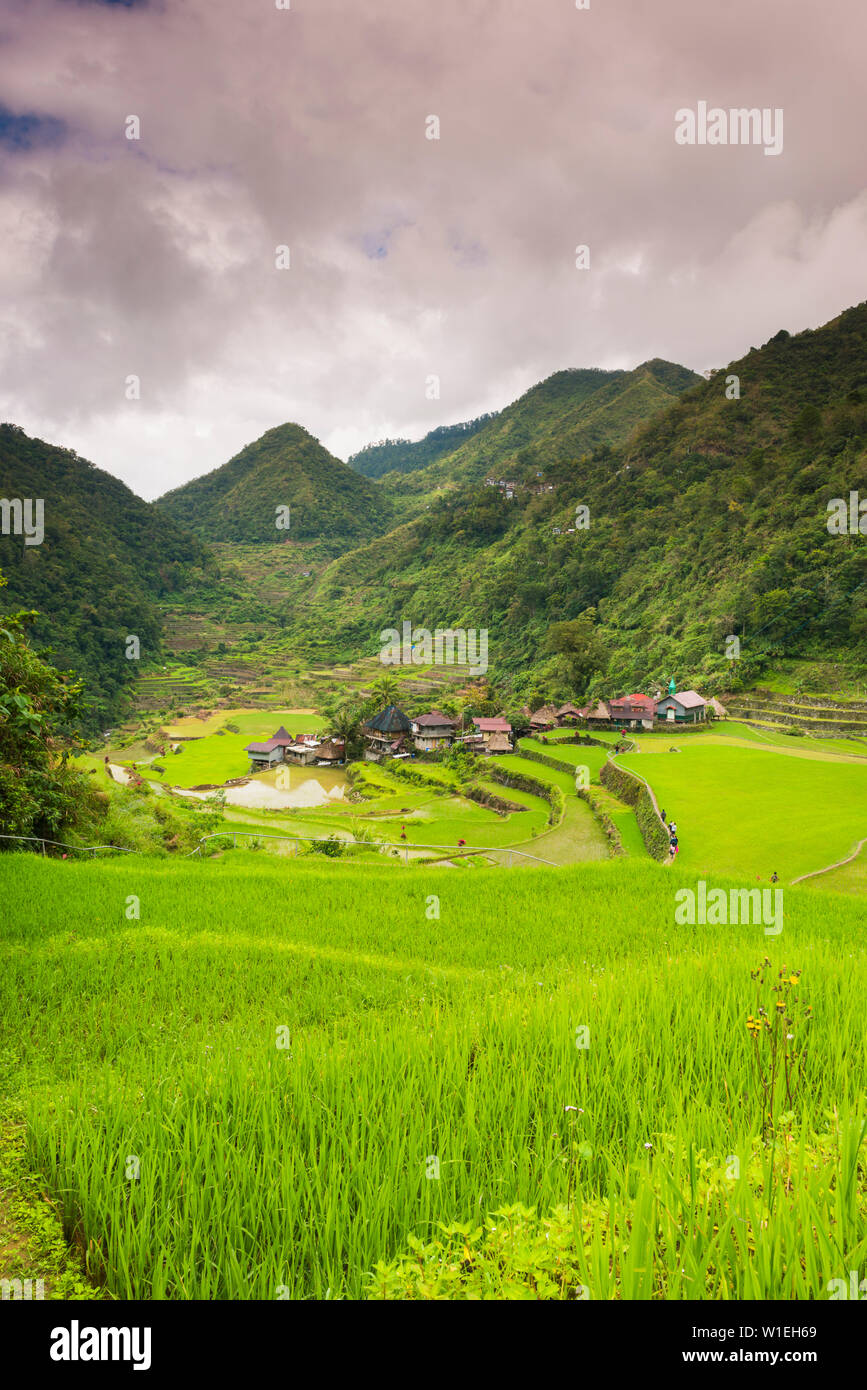 Rice Terraces, Bangaan, UNESCO World Heritage Site, Luzon, Philippines ...