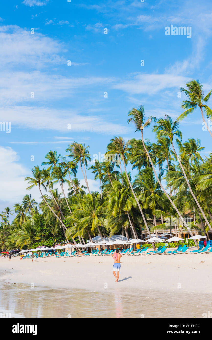 Bohol, Central Visayas, Philippines, Southeast Asia, Asia Stock Photo ...