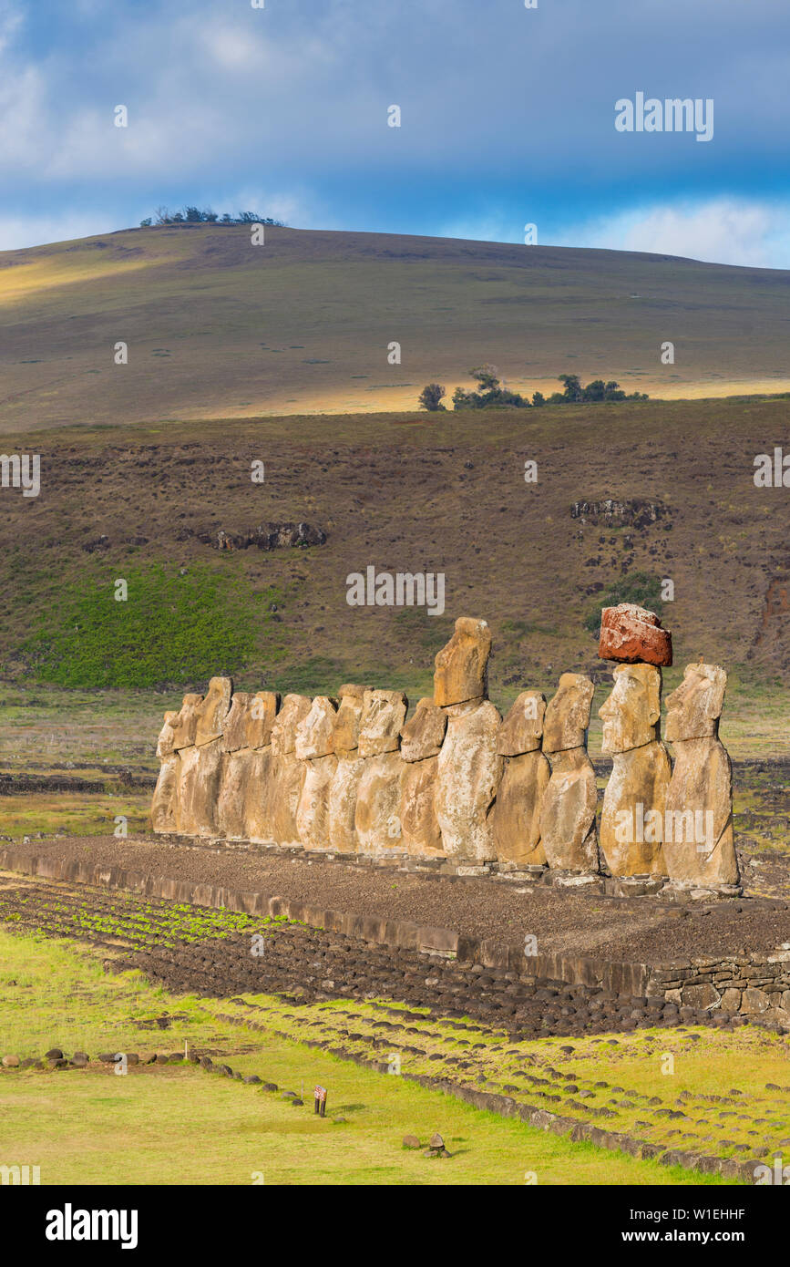 Moai heads of Easter Island, Rapa Nui National Park, UNESCO World ...