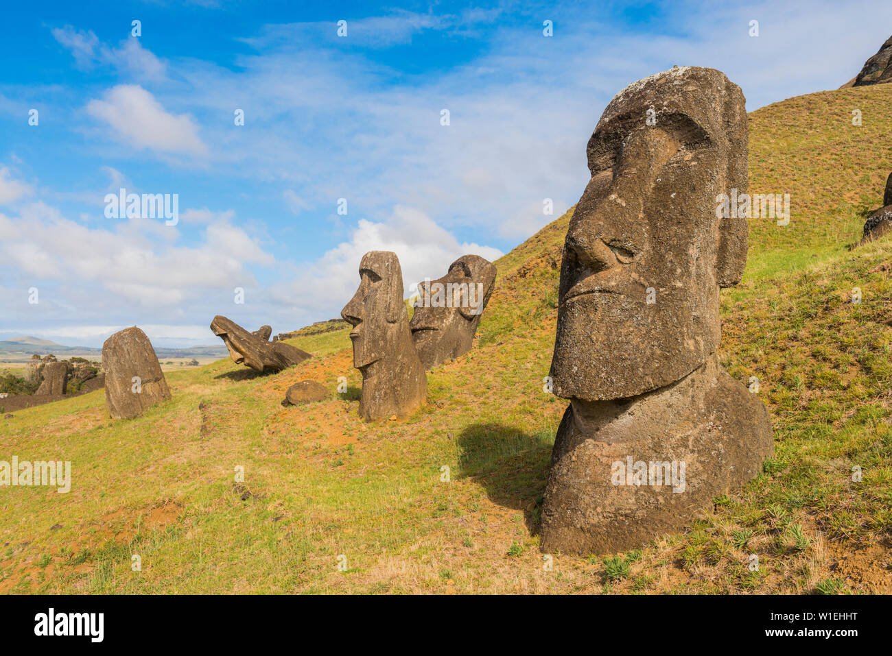 Moai heads of Easter Island, Rapa Nui National Park, UNESCO World ...