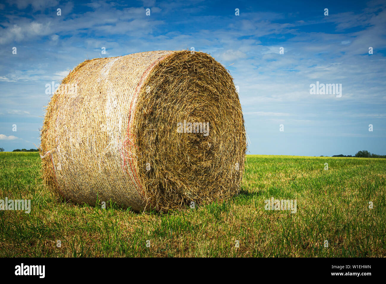 Haystack stack dry grass hi-res stock photography and images - Alamy