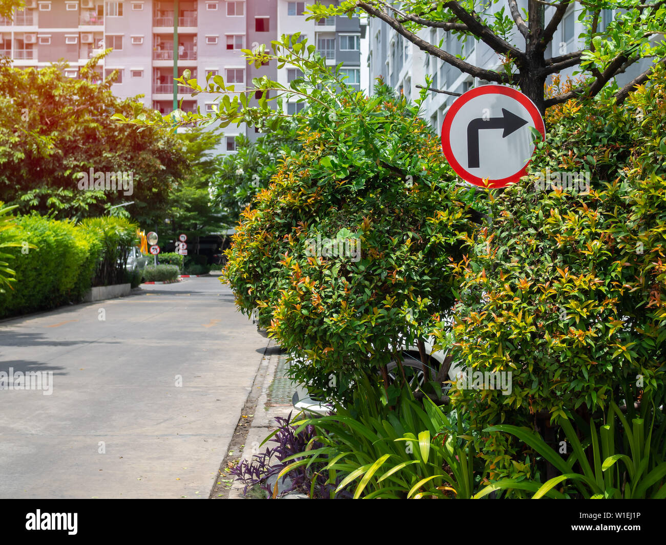 Traffic sign, Turn right street sign hiding in the green bush near ...