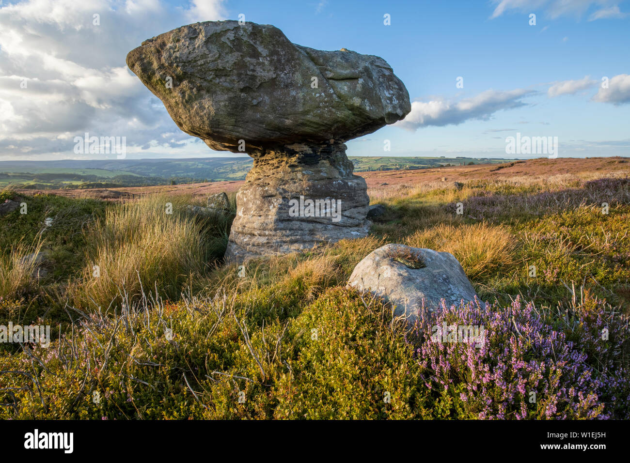 North yorkshire heather rock hi-res stock photography and images - Alamy