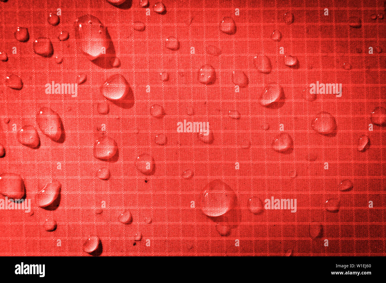 Large drops of water on a red textile with a waterproof effect. Water ...