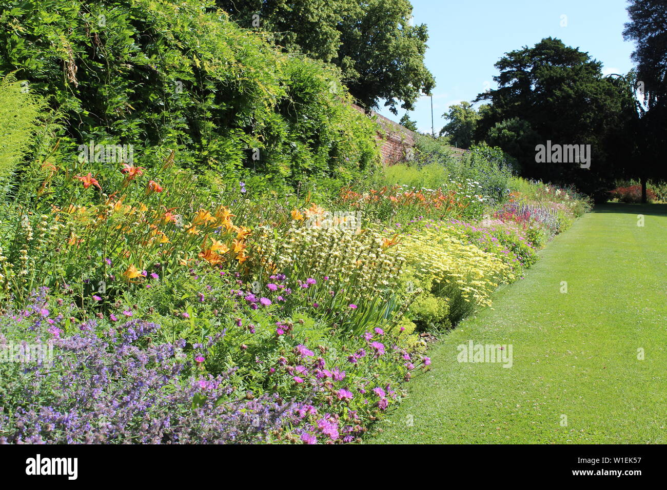 Flora border hi-res stock photography and images - Alamy