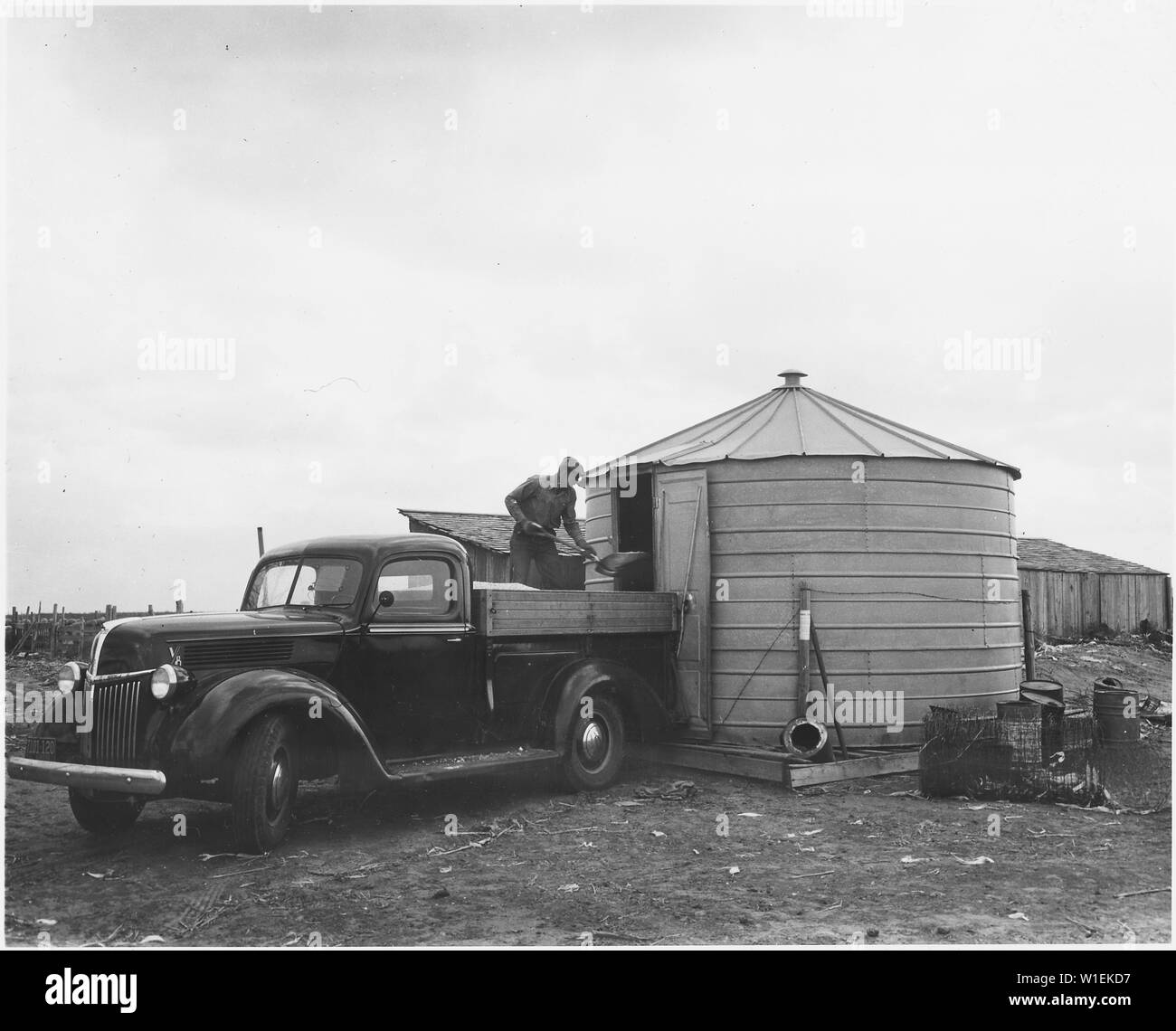 Haskell County, Kansas. Loading shelled corn into an empty granary ...