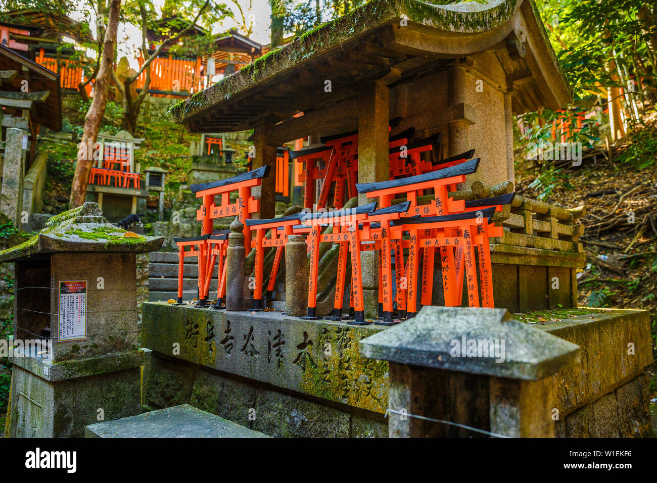Fushimi Inari Taisha, the most important Shinto shrine, famous for its ...