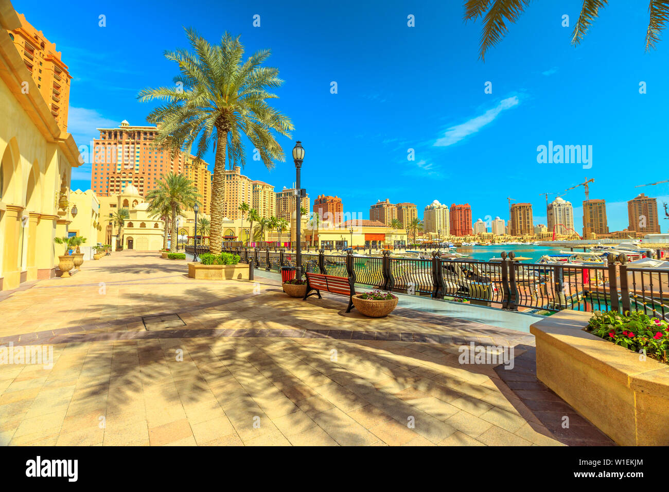 Palm trees along luxury marina corniche walkway promenade in Porto ...