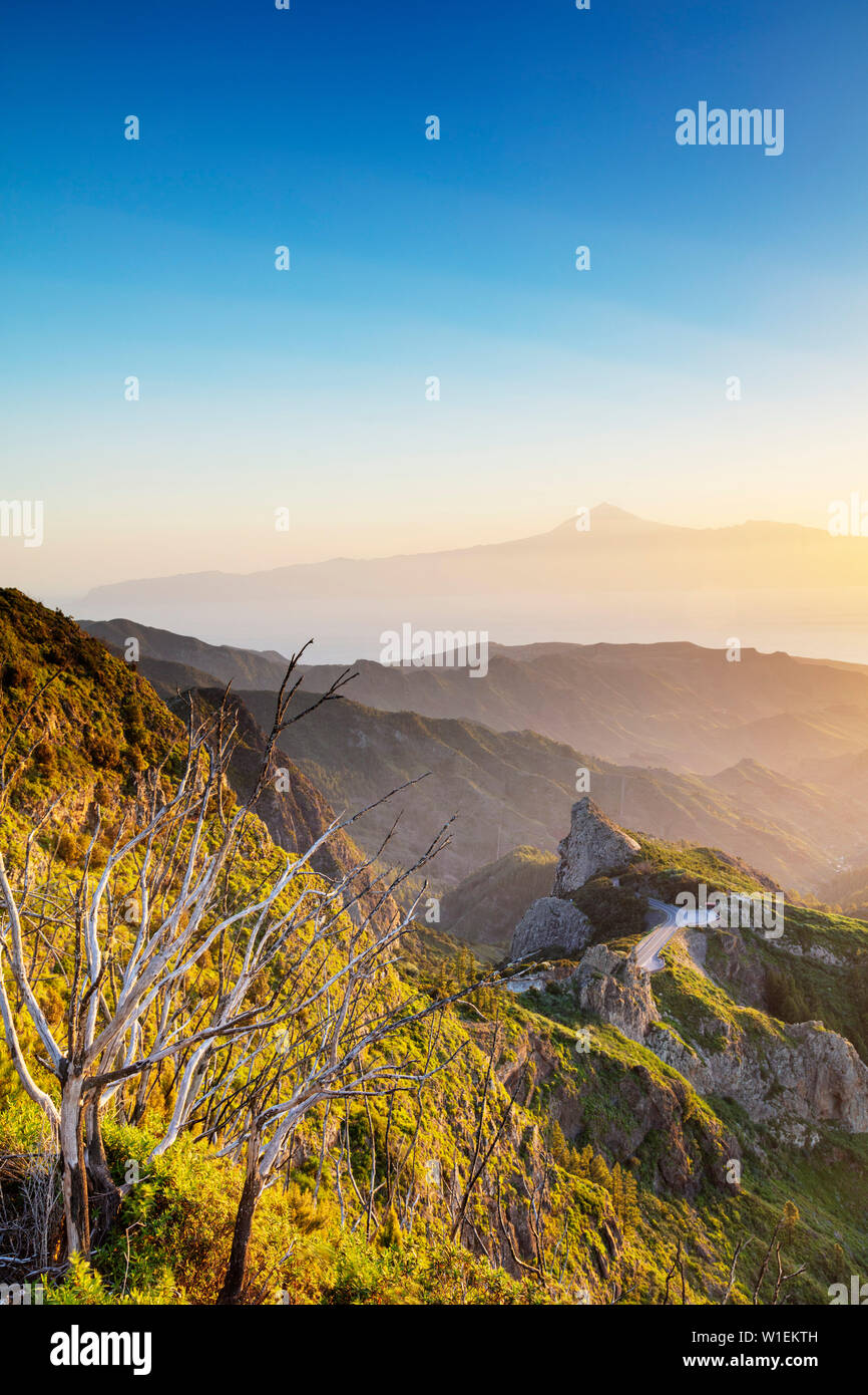 Garajonay National Park and Tenerife in the distance, Garajonay ...