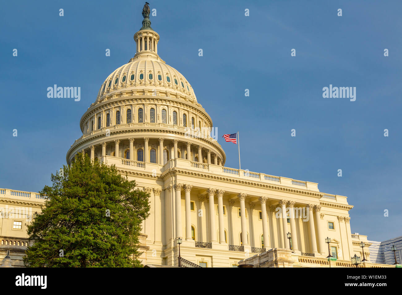 View of the Capitol Building during golden hour, Washington D.C ...