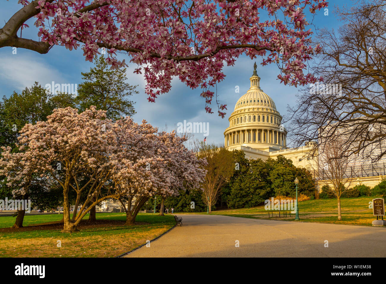 American capitol full view hi-res stock photography and images - Alamy