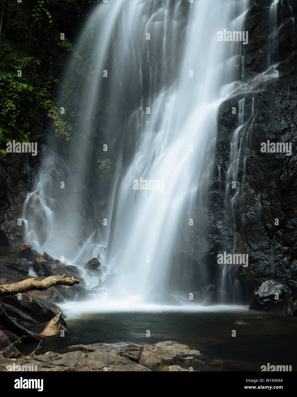 Sinharaja Rain Forest