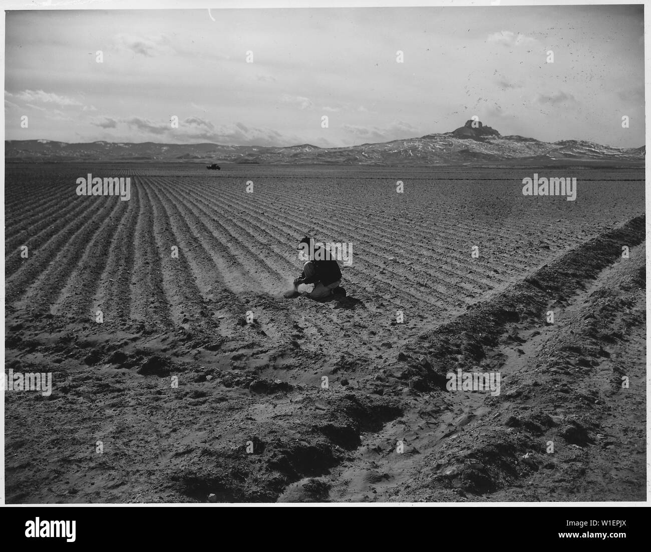 Heart Mountain Relocation Center, Heart Mountain, Wyoming. Land cleared ...