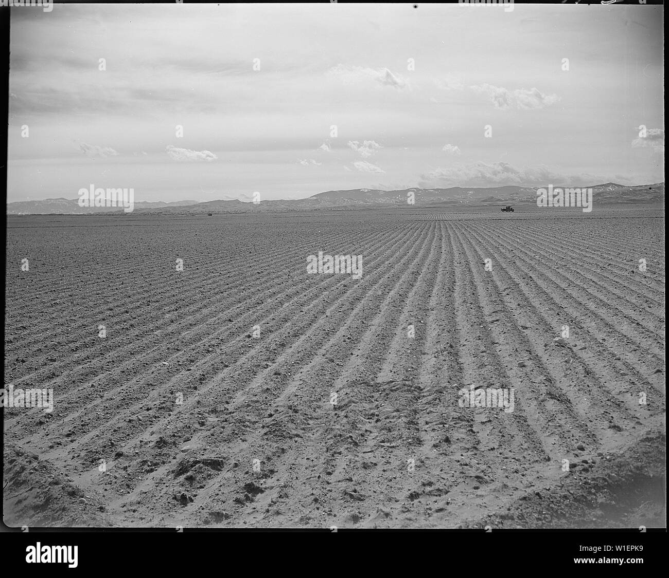 Heart Mountain Relocation Center, Heart Mountain, Wyoming. Land cleared ...