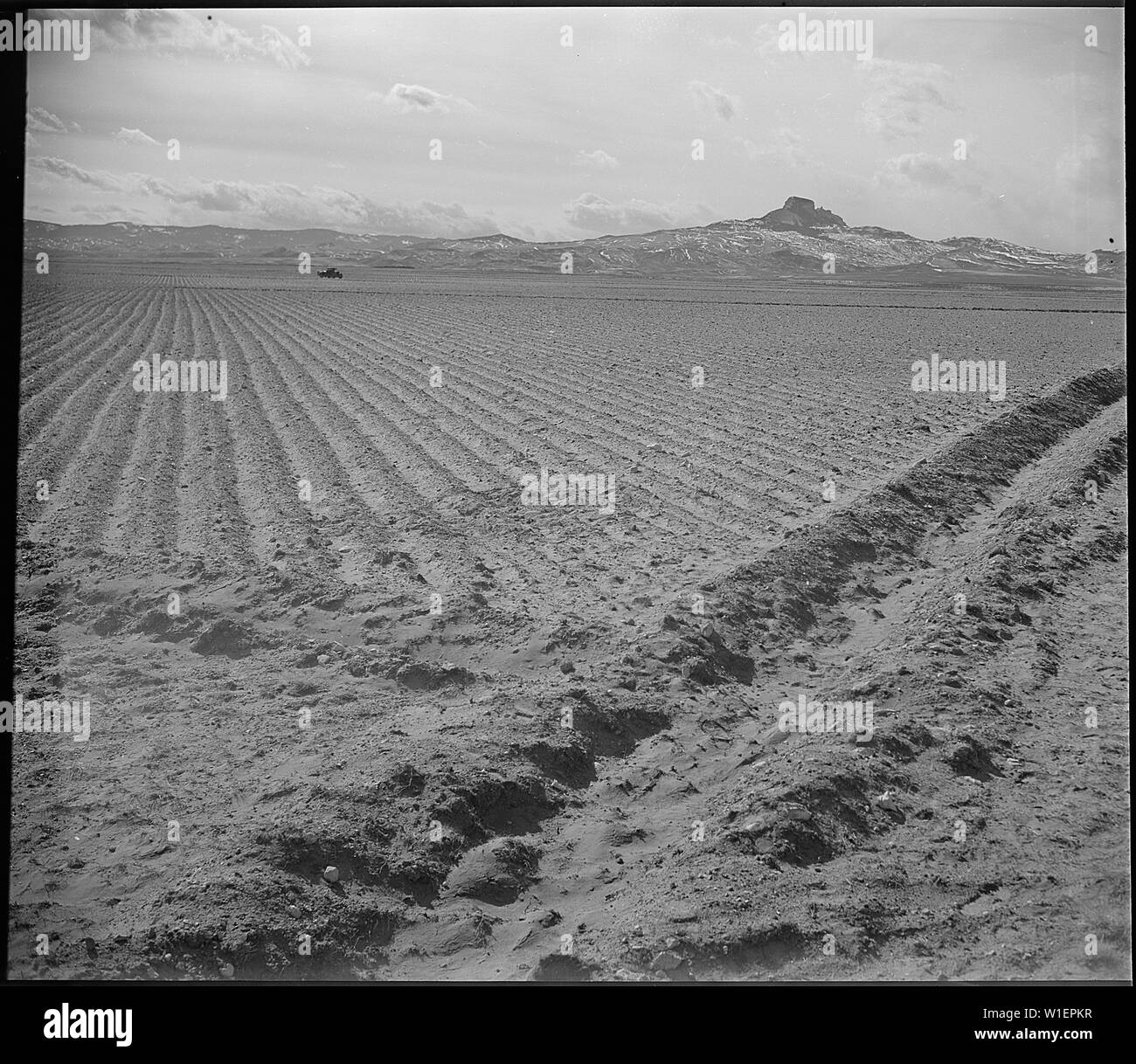 Heart Mountain Relocation Center, Heart Mountain, Wyoming. Land cleared ...