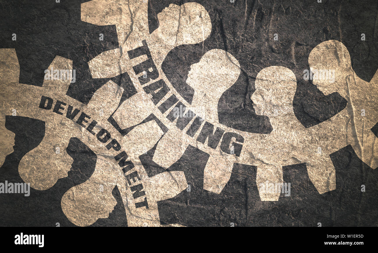 Training and Development text on the Gears Stock Photo - Alamy