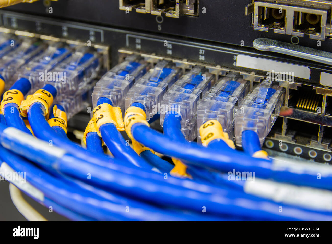 The network blue cables to connect Lan port in the Datacenter room ...