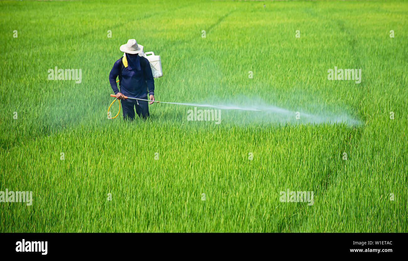 Farmer spraying pesticides crops hi-res stock photography and images ...
