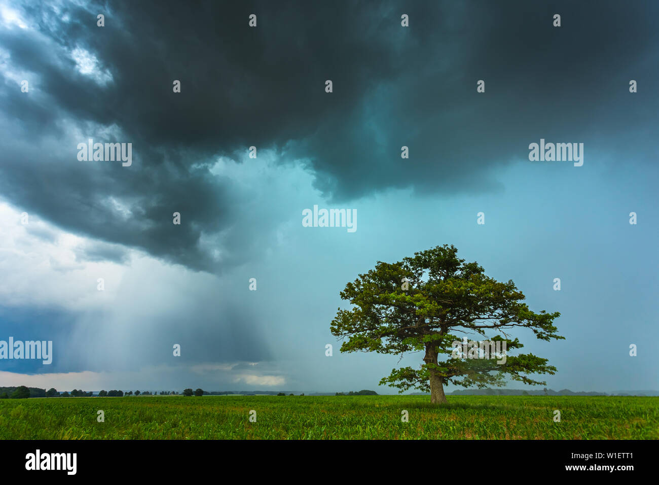 Tropical storm clouds with high precipitation rain Stock Photo - Alamy