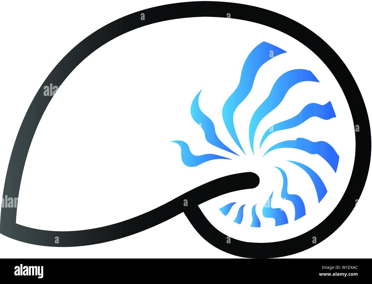 Nautilus icon in duo tone color. Sea creature mollusk Stock Vector ...
