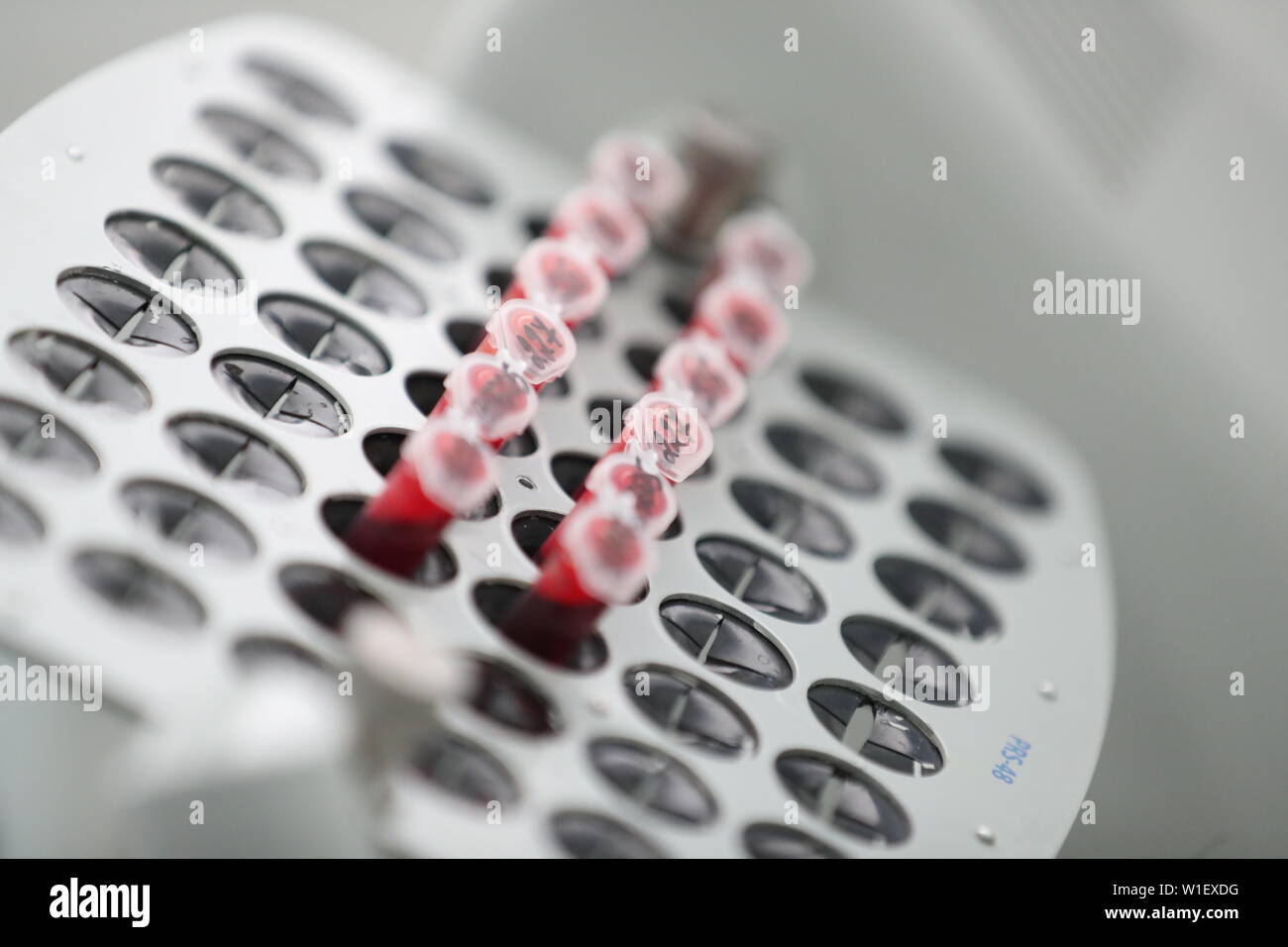 Dna Extraction High Resolution Stock Photography and Images - Alamy