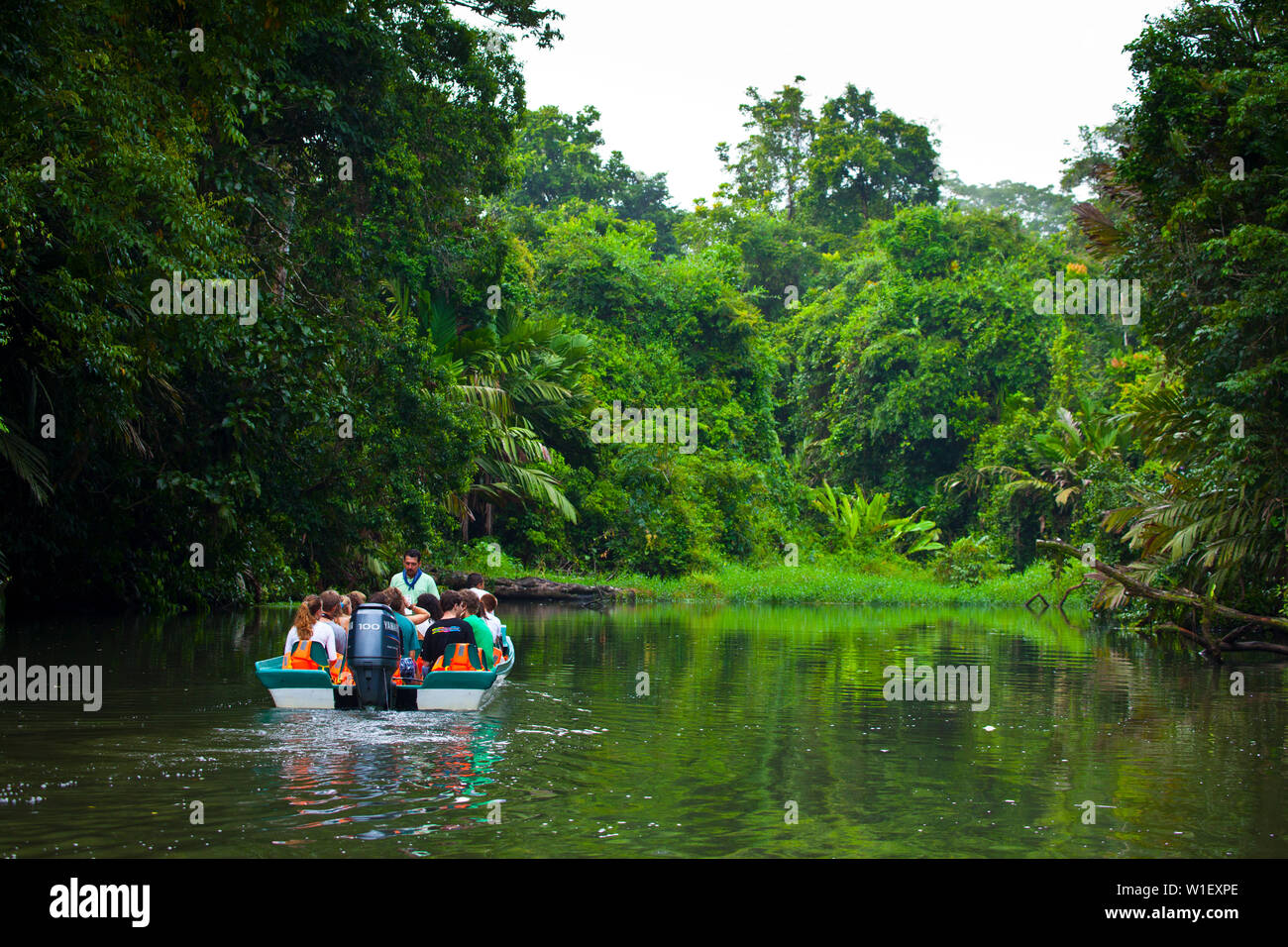 Tortuguero River, Tortuguero National Park, Costa Rica, Central America ...