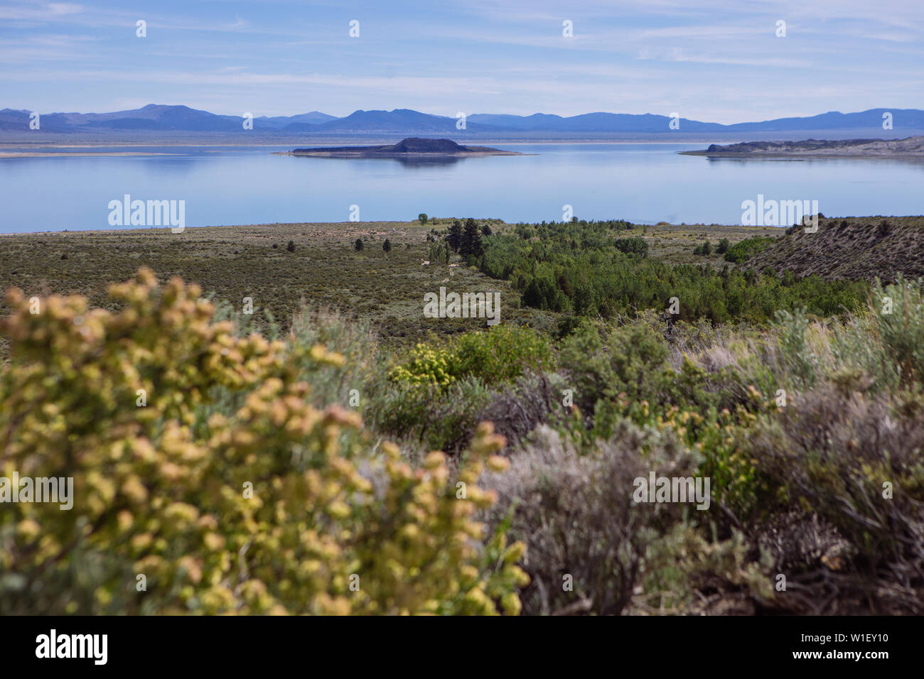 Paoha Island in Mono Lake Park viewed from Mono Basin Visitor Centre ...