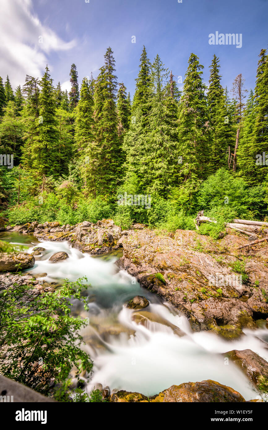 Sol Duc River in Olympic National Park, Washington, USA Stock Photo - Alamy