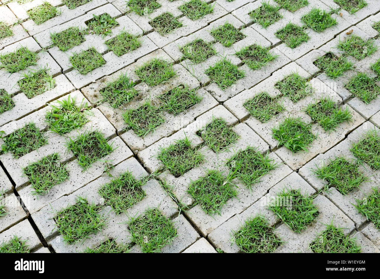 Texture of a paving stone track on a green grass Stock Photo - Alamy