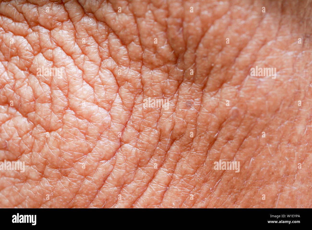 abstract background texture old man skin Stock Photo - Alamy