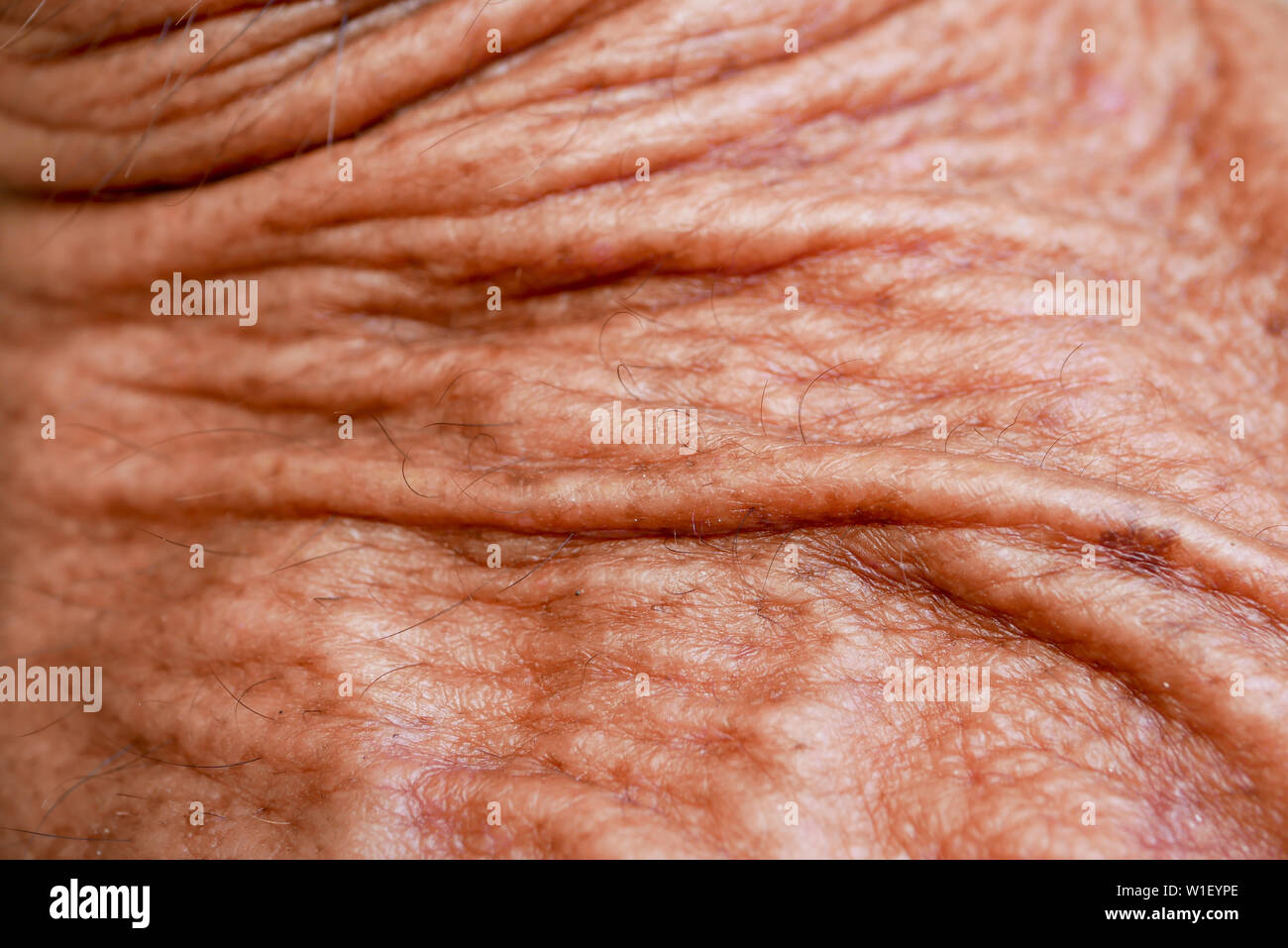 abstract background texture old man skin Stock Photo - Alamy