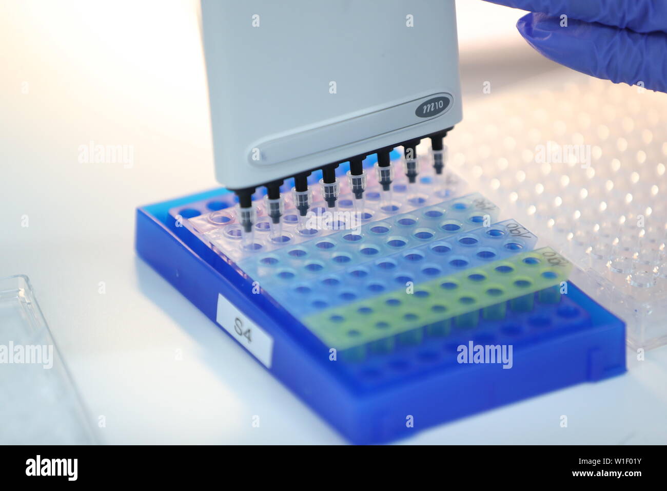 Marrow Donor High Resolution Stock Photography and Images - Alamy