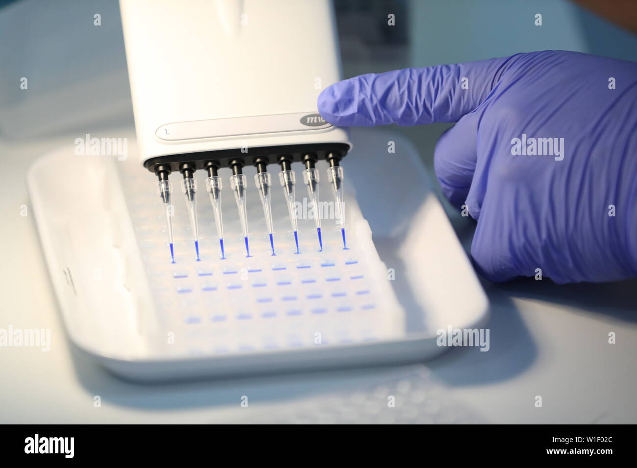 Marrow Donor High Resolution Stock Photography and Images - Alamy