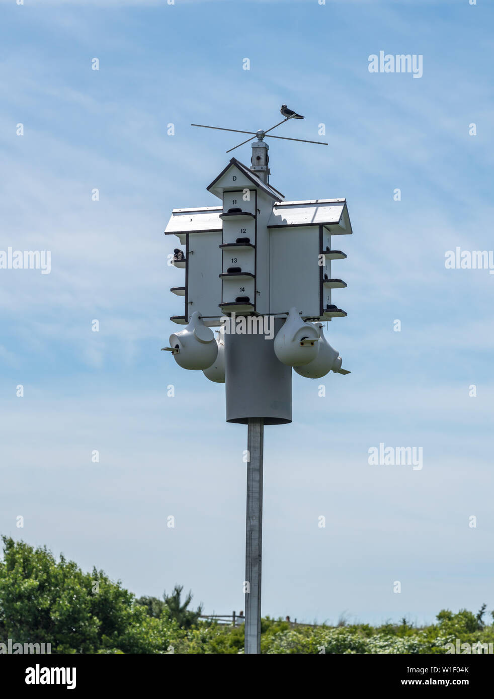 House multiple occupancy hi-res stock photography and images - Alamy